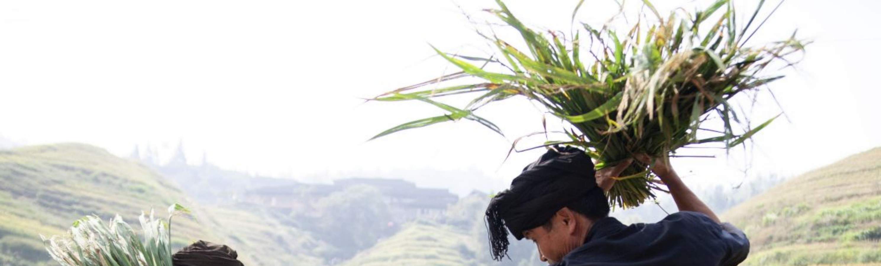 [Encounter the idyllic paradise in poetry and painting] Guilin Panorama ...